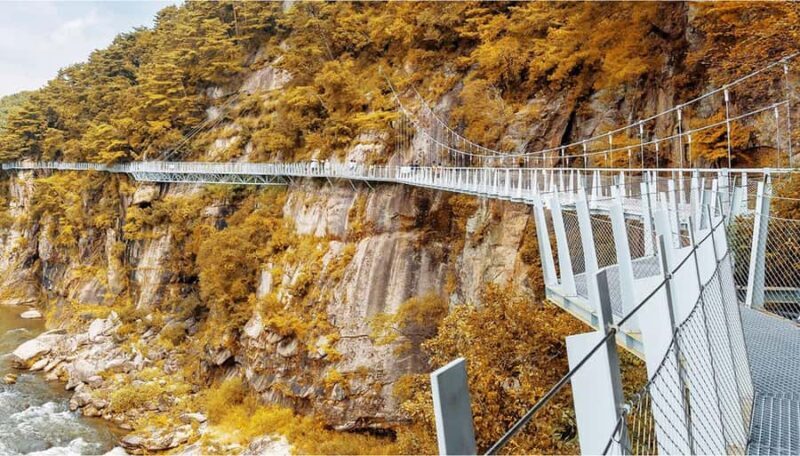 Seoul: Cheorwon DMZ & 2nd Tunnel Small Group Tour - Who Should Consider This Tour?