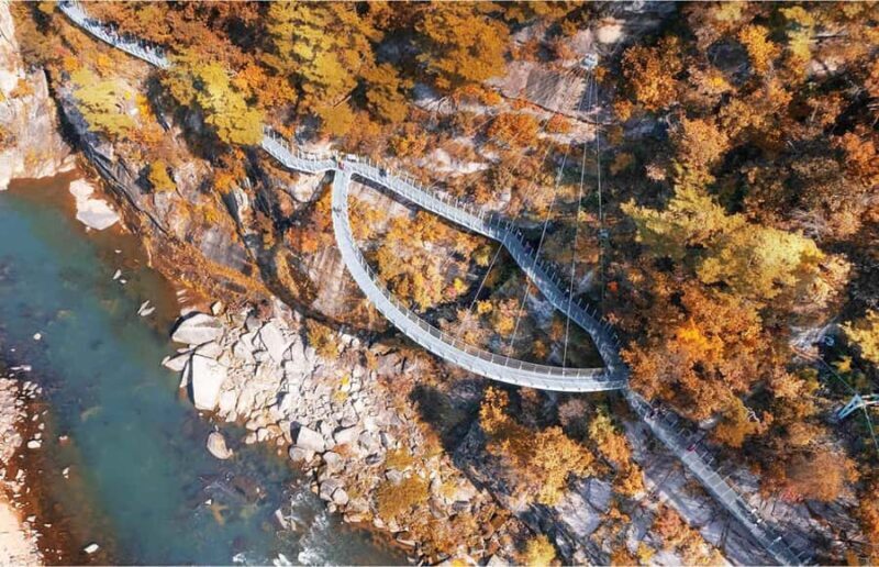 Seoul: Cheorwon DMZ & 2nd Tunnel Small Group Tour - Final Thoughts