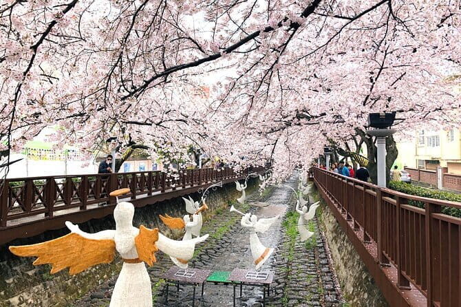 Seoul Cherry Blossom Walking Tour to Gyeongui Line Park - Final Thoughts: Who Will Love This Tour?