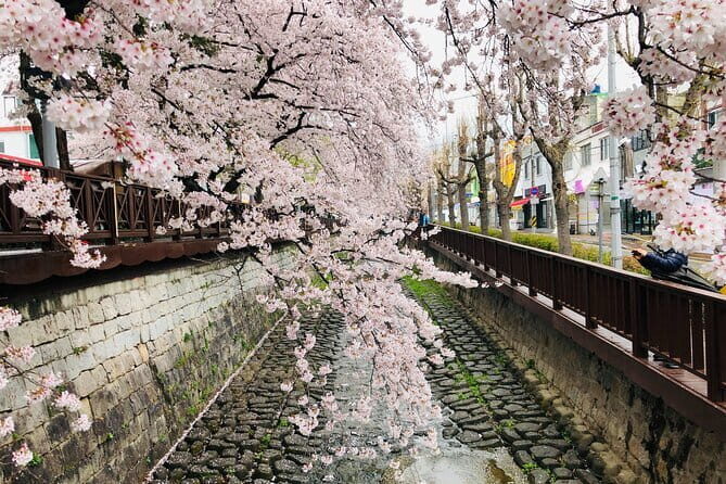 Seoul Cherry Blossom Walking Tour to Gyeongui Line Park - FAQ