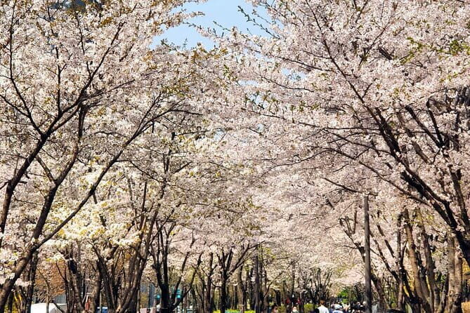 Seoul Cherry Blossom Walking Tour to Gyeongui Line Park - Final Words