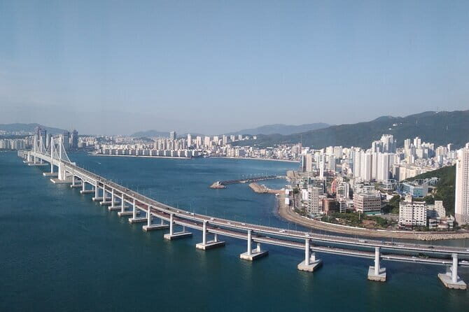 Seoul City Night View and Foodie Walking Tour - Who Should Consider This Tour?