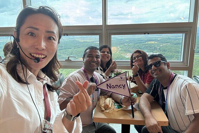 Seoul City Private Tour (Optional : Seoul, DMZ, Nami Island) - What Travelers Say