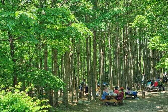 Seoul City Tour / Small Group / 8 Max - What Travelers Are Saying (Based on Reviews)