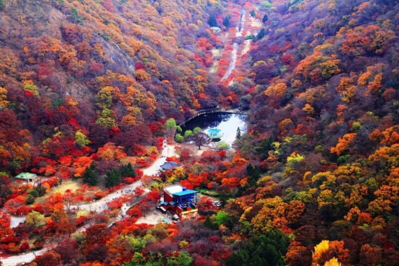 Seoul: Classic Naejangsan National Park Shuttle Bus - An In-Depth Look at the Naejangsan Experience