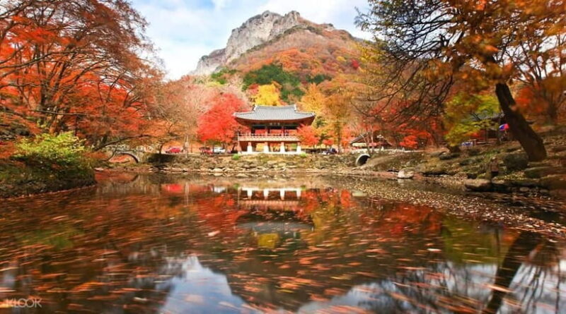Seoul: Classic Naejangsan National Park Shuttle Bus - Final Thoughts: The Value of a Scenic Day in Korea’s Heartland
