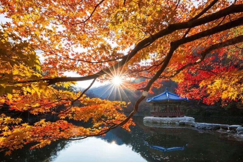 Seoul: Classic Naejangsan National Park Shuttle Bus - FAQ
