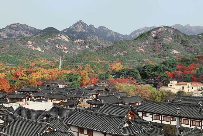 Seoul : Closest Starbucks to DMZ + Hidden Hanok Village Day Tour - Key Points