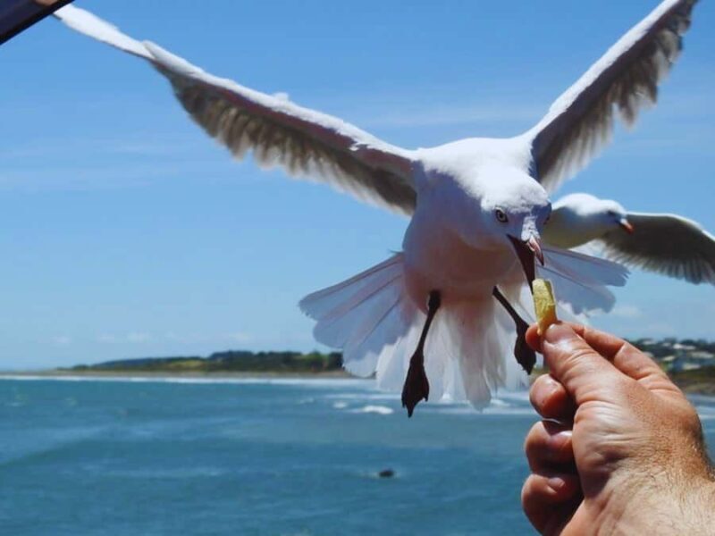 Seoul: Coastal Rail Bike, Sorae Park and Fairytale Village - Key Points