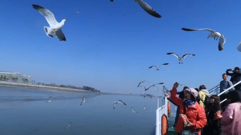 Seoul: Coastal Rail Bike, Sorae Park and Fairytale Village - Final Thoughts