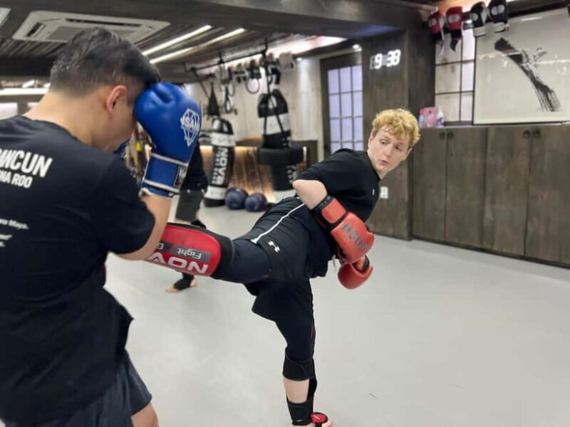 Seoul: Combat Taekwondo & Self-Defense One Day Class - What Is the Combat Taekwondo & Self-Defense Class?