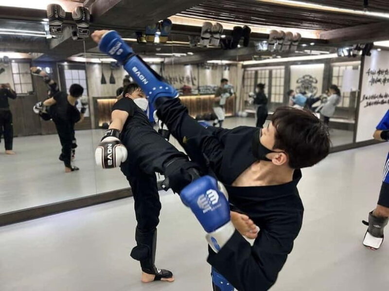Seoul: Combat Taekwondo & Self-Defense One Day Class - What Travelers Say