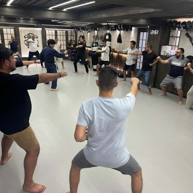 Seoul: Combat Taekwondo & Self-Defense One Day Class - The Practical Details: What You Need to Know
