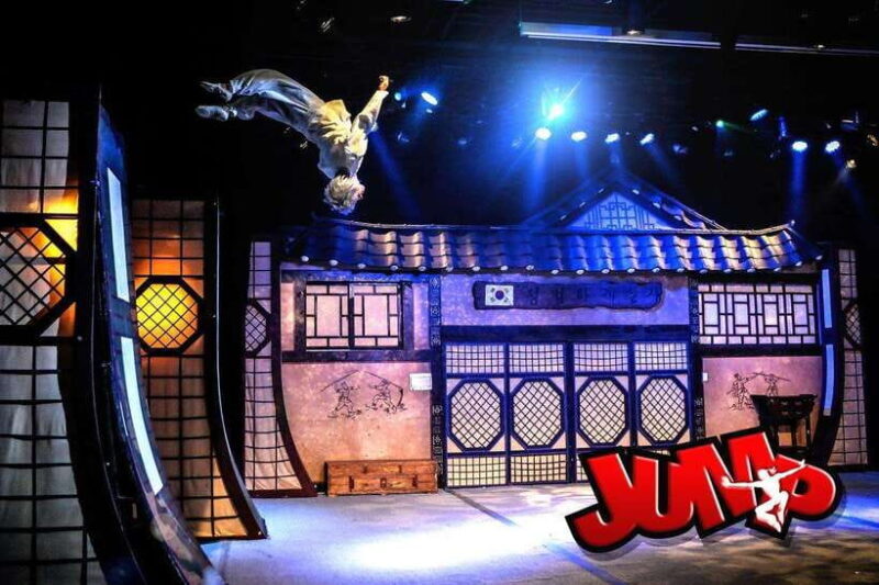Seoul: Comic Martial Arts Performance JUMP - Who Should Consider This Experience?