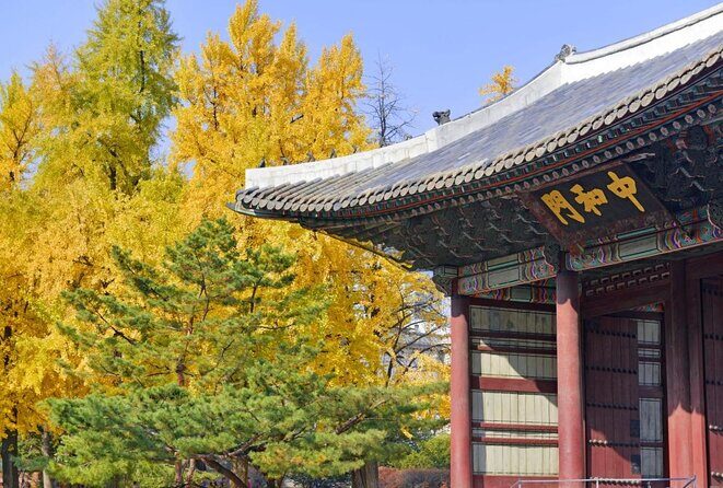 Seoul: Deoksugung Palace Night Tour - FAQs