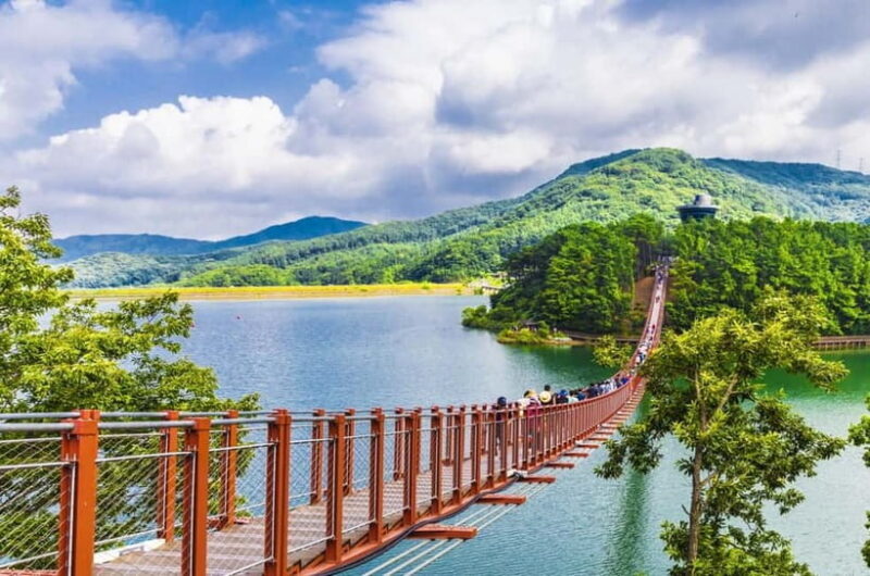 Seoul: DMZ, 3rd Tunnel and Optional Suspension Bridge Tour - Key Points