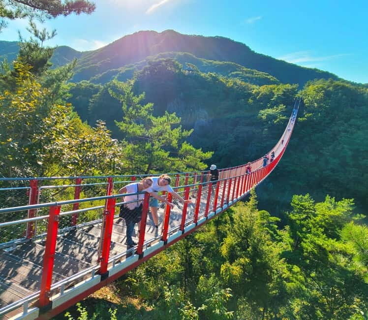 Seoul: DMZ, 3rd Tunnel and Optional Suspension Bridge Tour - The Full Journey: What to Expect