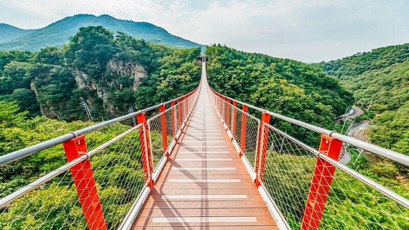 Seoul: DMZ, 3rd Tunnel and Optional Suspension Bridge Tour - Who Should Take This Tour?