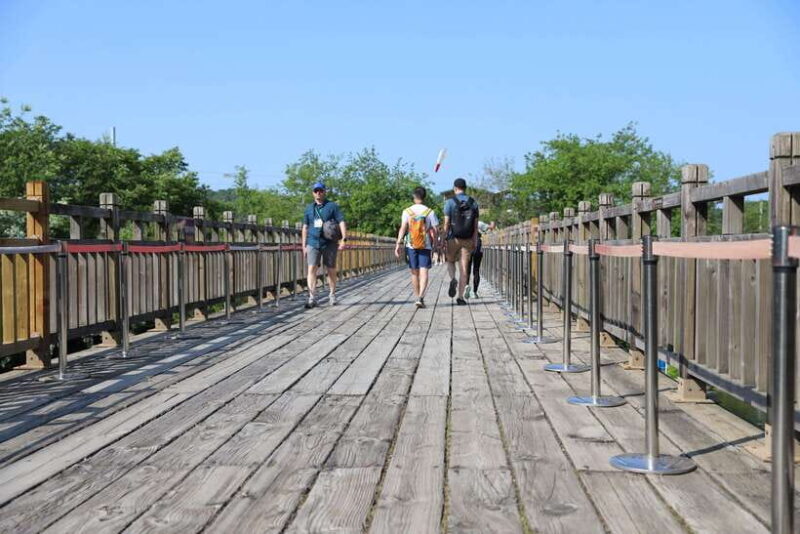 Seoul: DMZ The 3rd Tunnel and Suspension Bridge Tour - Authentic Experiences and Real Feedback