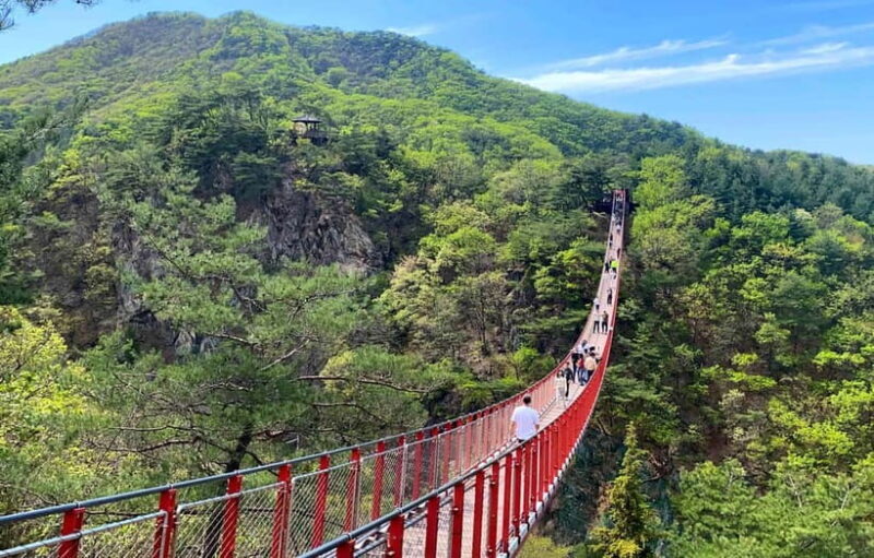 Seoul: DMZ Tour & North Korean Defector Meet Up (As Add-on) - Why the Price Offers Good Value