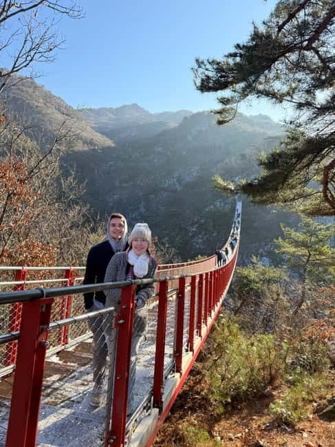 Seoul: DMZ Tour & North Korean Defector Meet Up (As Add-on) - FAQs