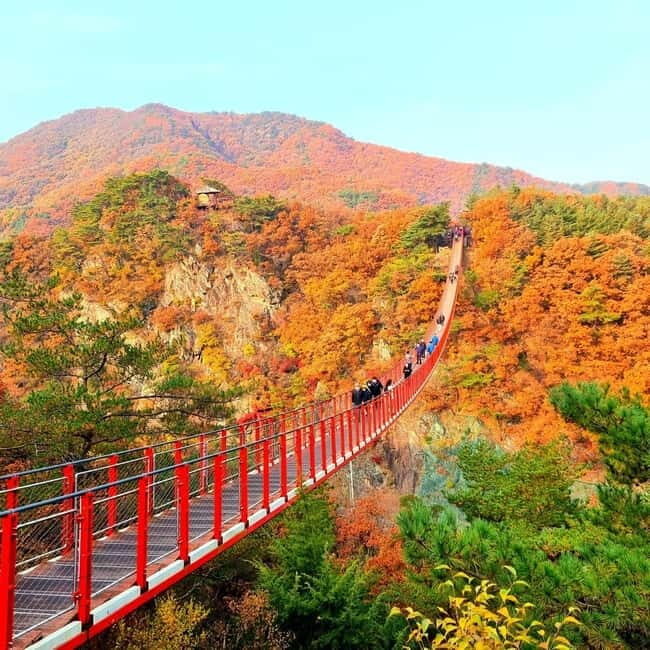 Seoul: DMZ Tour with 3rd Tunnel and Suspension Bridge Tour - FAQ