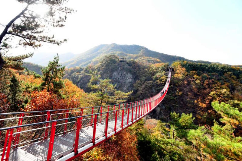 Seoul: DMZ Tour with Optional Suspension Bridge - Exploring the Heart of Korea’s Divide