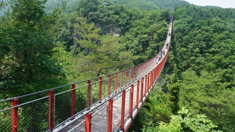 Seoul: DMZ Tour with Optional Suspension Bridge - Practical Details and Tips for Travelers