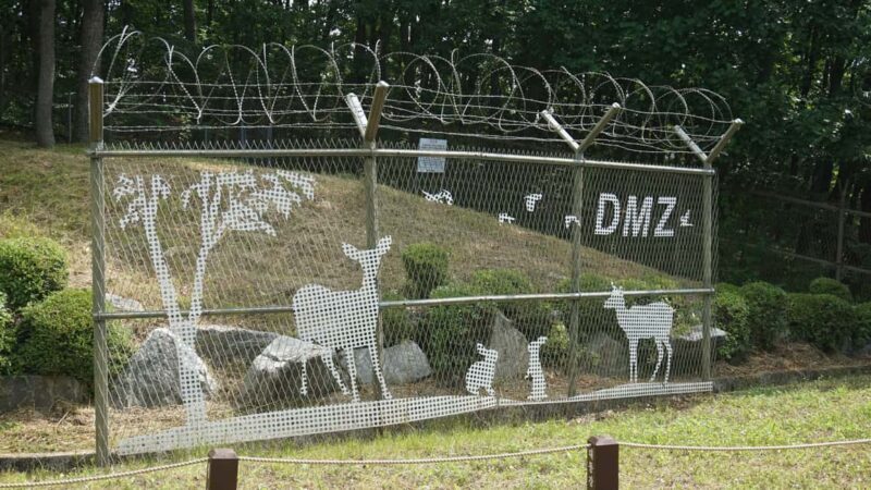 Seoul: DMZ Tour with Optional Suspension Bridge - Frequently Asked Questions