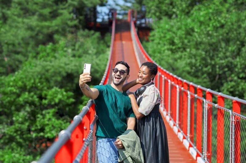 Seoul: DMZ with Optional Suspension Bridge, North Korea View - What to Expect from the DMZ Tour