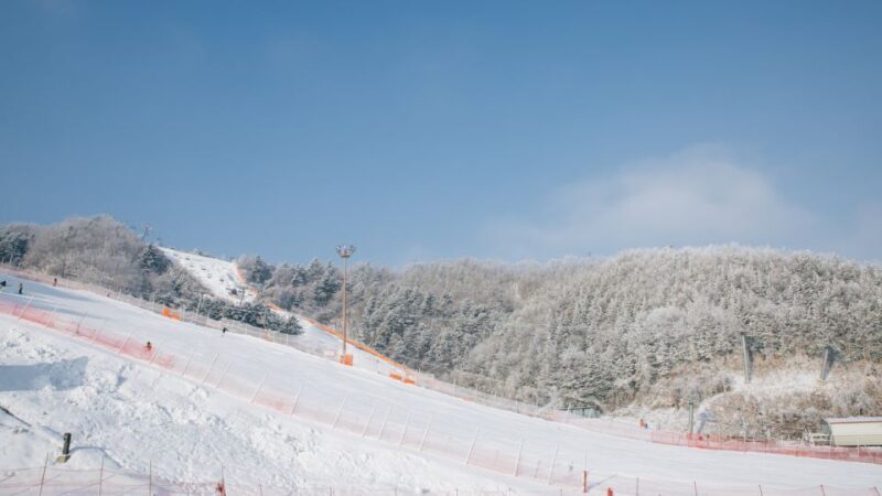 Seoul: Elysian Gangchon Winter Ski Resort Fun Day Tour - The Value of the Packages