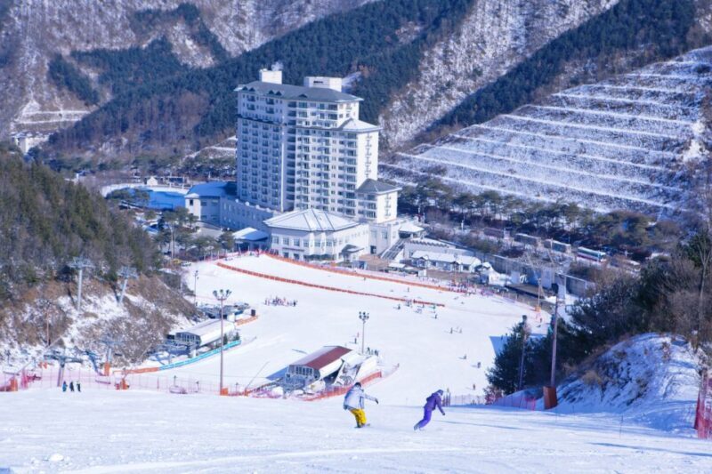 Seoul: Elysian Gangchon Winter Ski Resort Fun Day Tour - Authentic Experience for a Budget-Friendly Price
