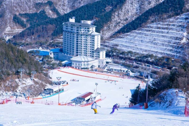 Seoul: Elysian Gangchon Winter Ski with Eobi Ice Valley Tour - Who Should Consider This Tour?