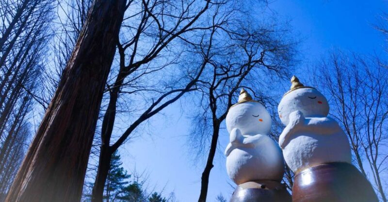 Seoul: Elysian Gangchon Winter Ski with Nami Island Day Tour - A Detailed Look at What to Expect