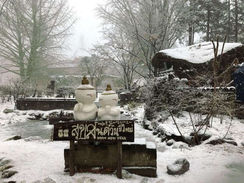 Seoul: Elysian Ski + Eobi Ice Valley + Nami - Key Points