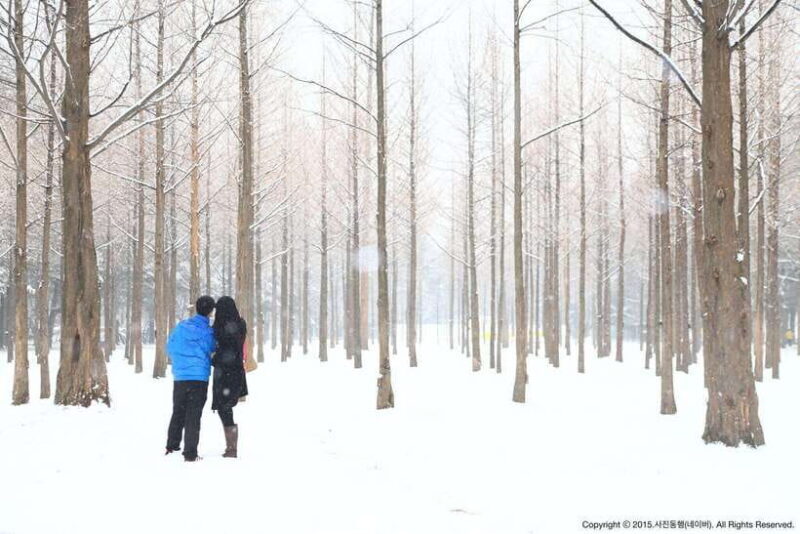 Seoul: Elysian Ski + Eobi Ice Valley + Nami - FAQ