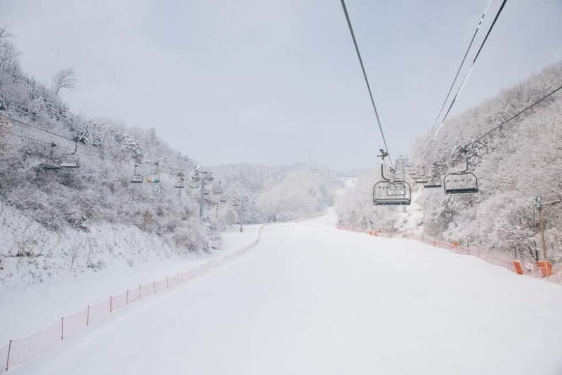 Seoul: Elysian Ski Resort & Eobi Ice Valley - An Overview of the Day