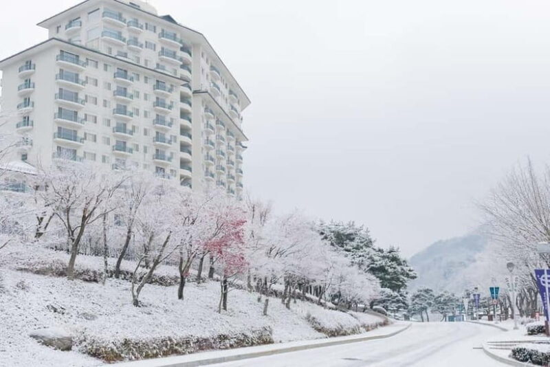 Seoul: Elysian Ski Resort & Eobi Ice Valley - Authentic Experiences and Real-World Insights