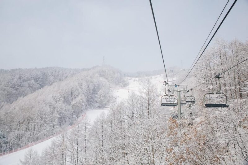 Seoul: Elysian Ski Resort & Eobi Ice Valley - Who Should Consider This Tour?