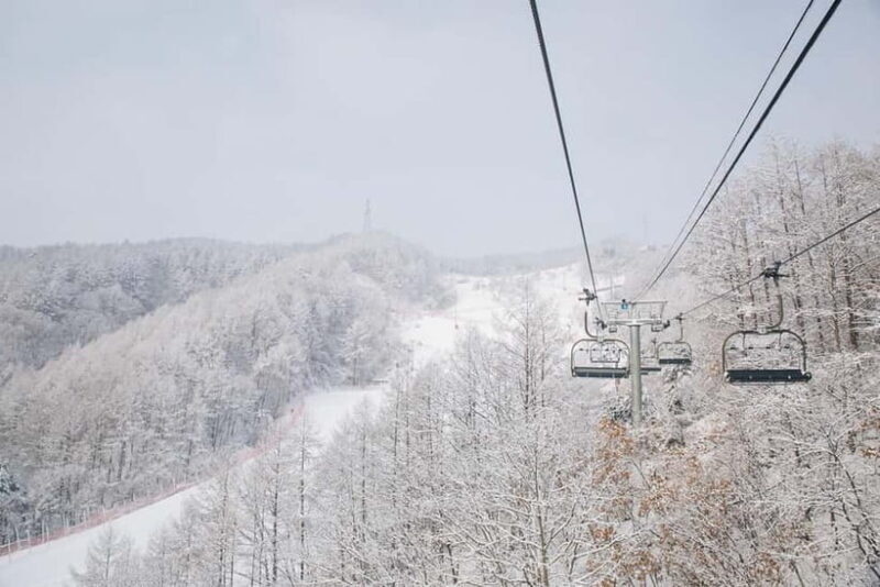 Seoul: Elysian Ski Resort & Eobi Ice Valley - The Sum Up