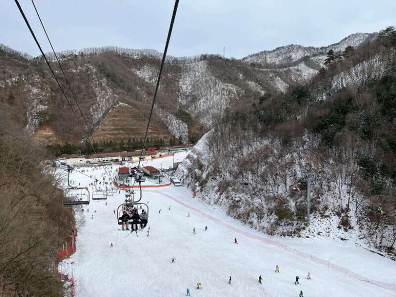 Seoul: Elysian Ski Resort One Day Tour - Key Points