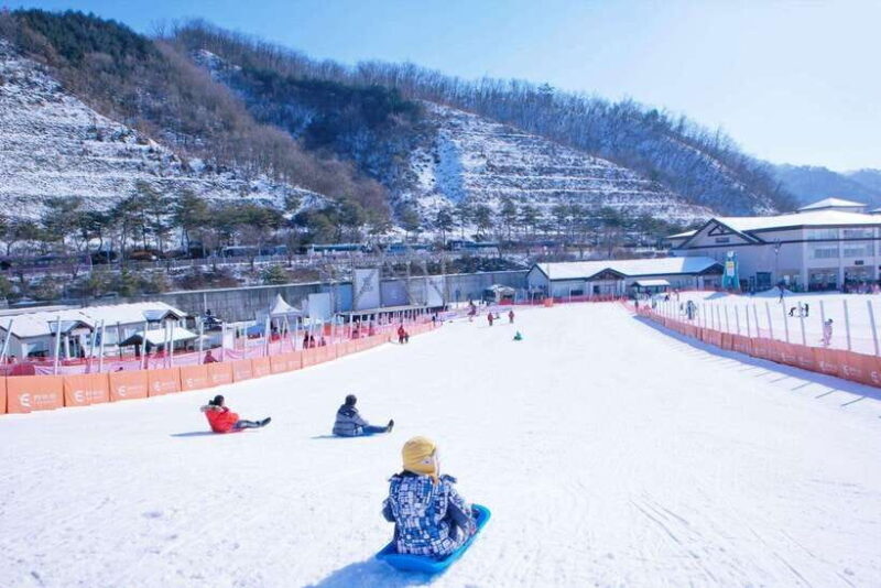 Seoul: Elysian Ski Resort One Day Tour - The Basics: What You Should Know About the Tour