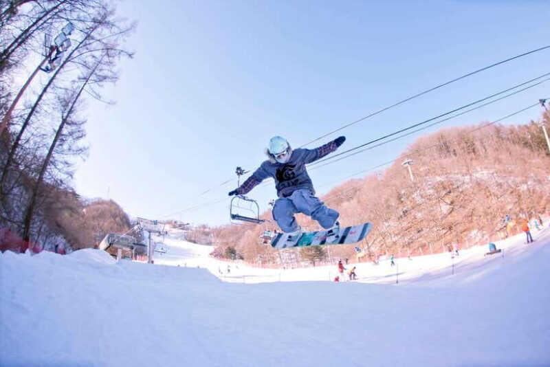 Seoul: Elysian Ski Resort One Day Tour - Detailed Breakdown of Tour Options & What They Mean for You