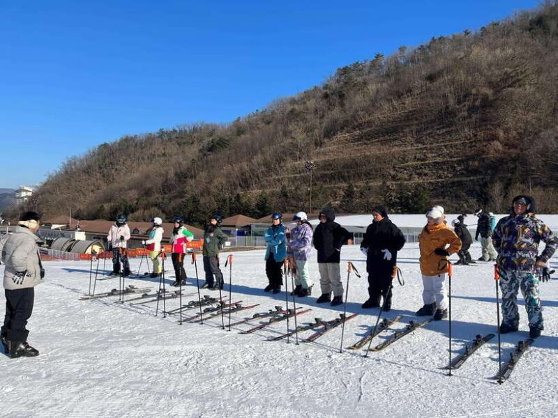 Seoul: Elysian Ski Resort One Day Tour - Frequently Asked Questions