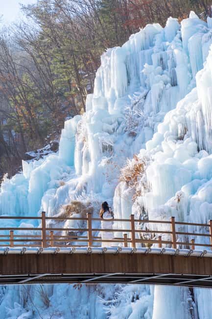 Seoul: Eobi Ice Valley, Alpaca World, Nami Island and More - An In-Depth Look at the Tour