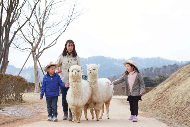 Seoul: Eobi Ice Valley, Alpaca World, Nami Island and More - Who Will Love This Tour?