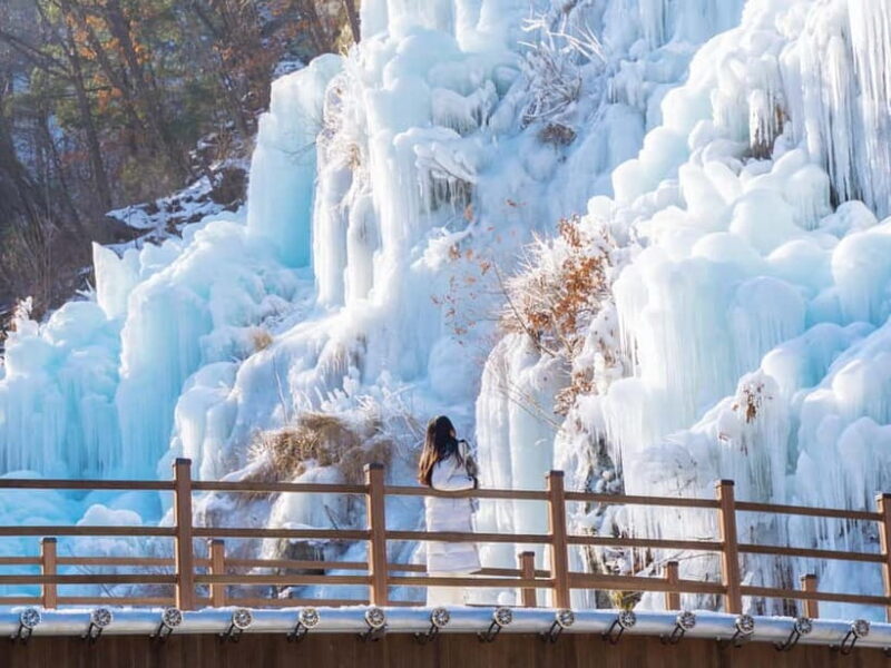 Seoul: Eobi Valley(Winter), Strawberry, Nami Island and Bike - Who Should Consider This Tour
