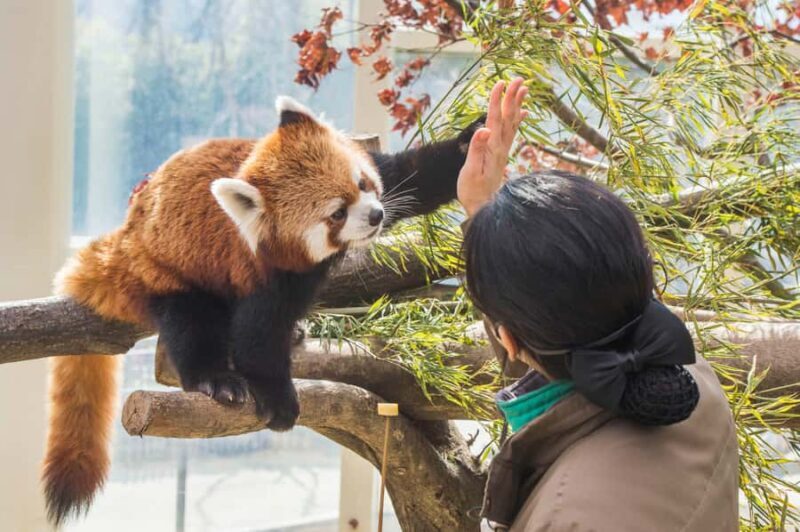 Seoul: Everland Theme Park Round Trip Shuttle Bus - Authentic Experiences from Fellow Travelers