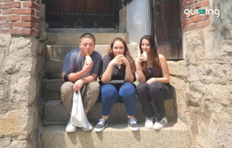 Seoul: From Airport to Hotel Check-in City Highlights Tour - Practical Aspects and Logistics