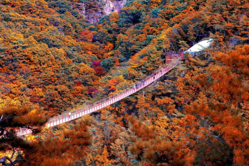 Seoul Full-Day City Tour: Hanok Village, Scenic Routes - Key Points